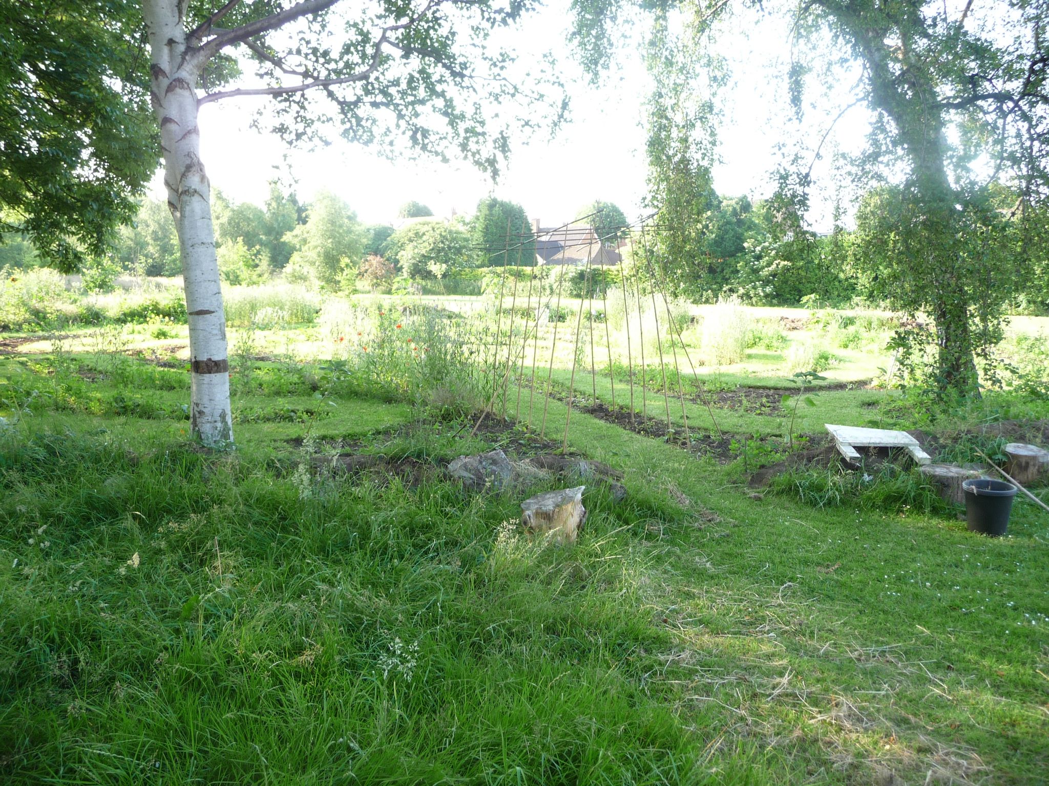 The labyrinth at Linden Primary School – Evington Echo
