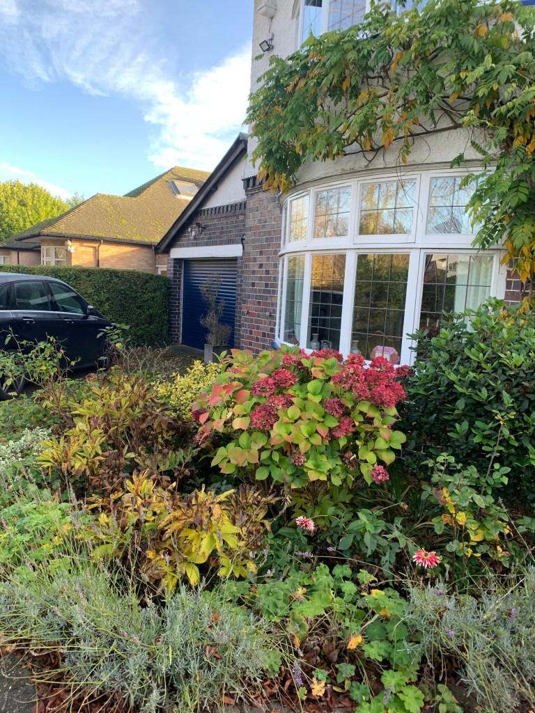 David’s house – Evington Echo